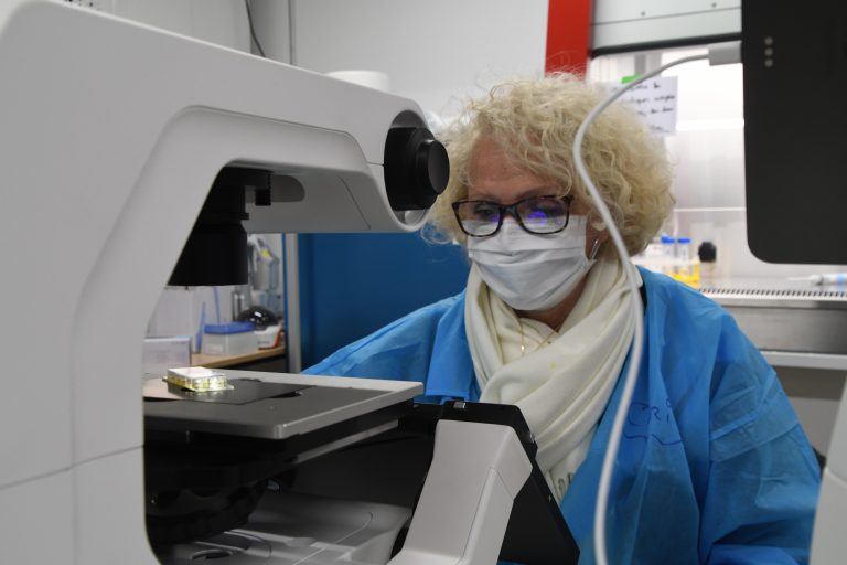 Présentation de Mifobio 2025 – GDR Imabio