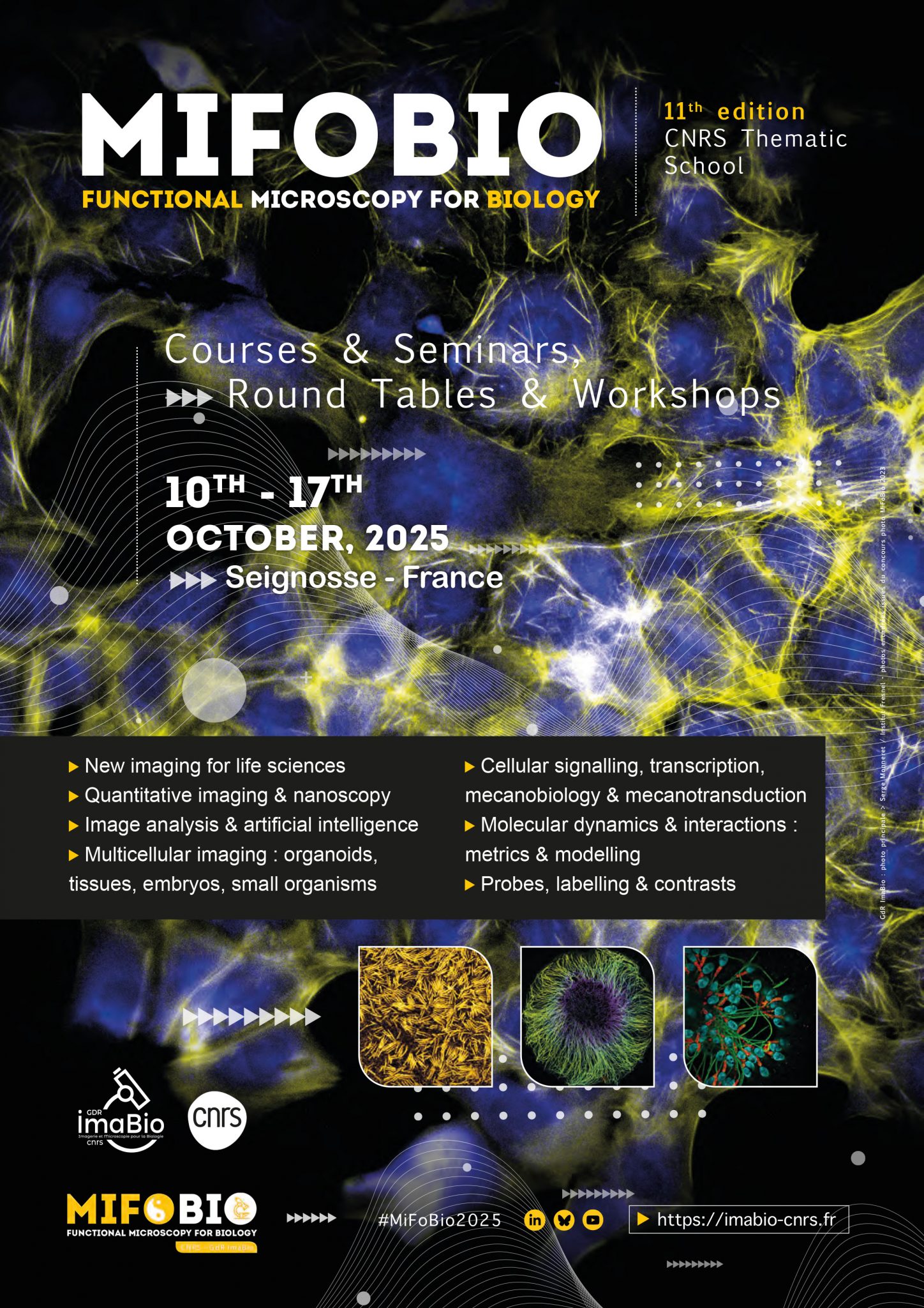 Présentation de Mifobio 2025 – GDR Imabio