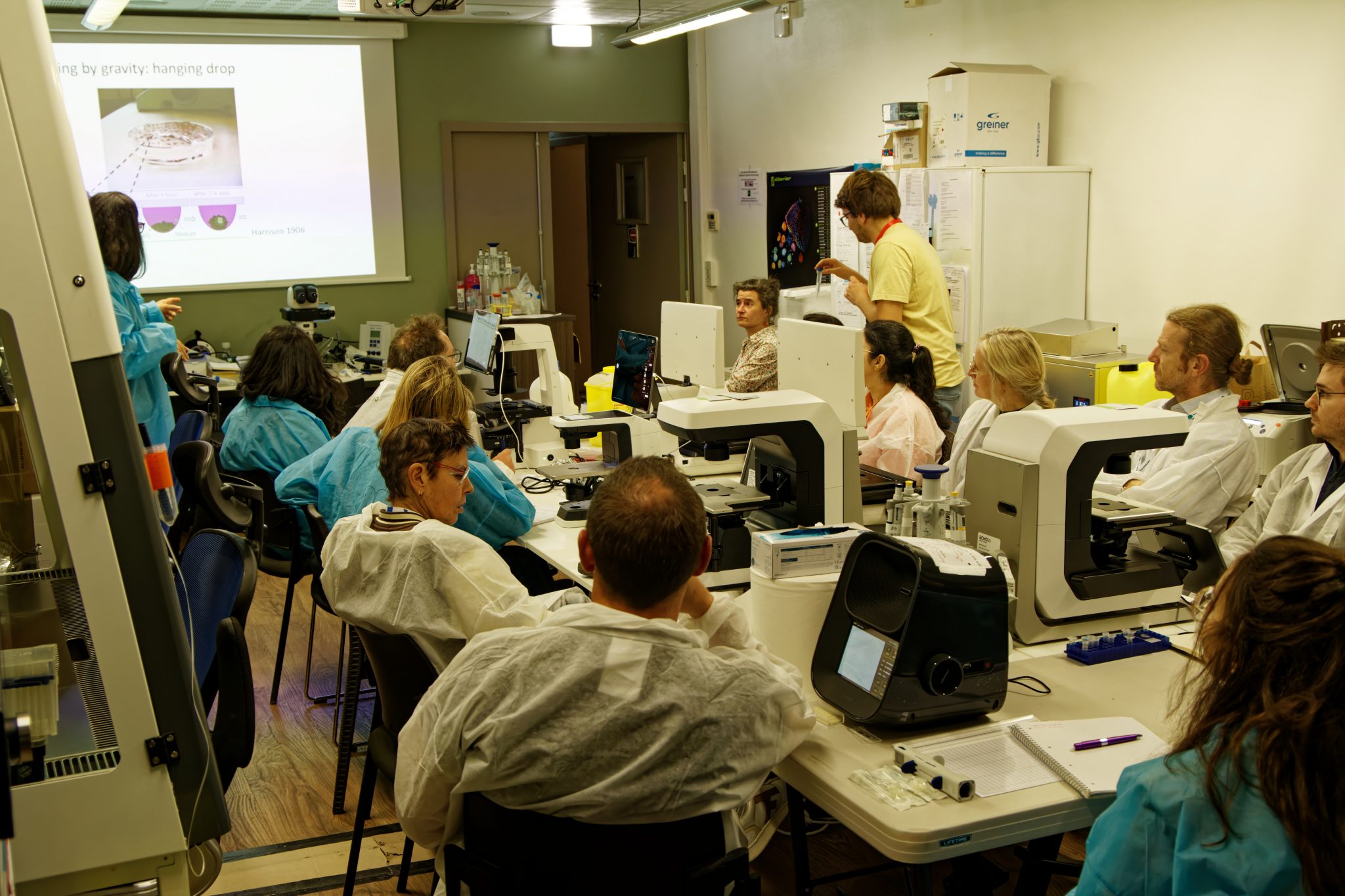 Présentation de Mifobio 2025 – GDR Imabio