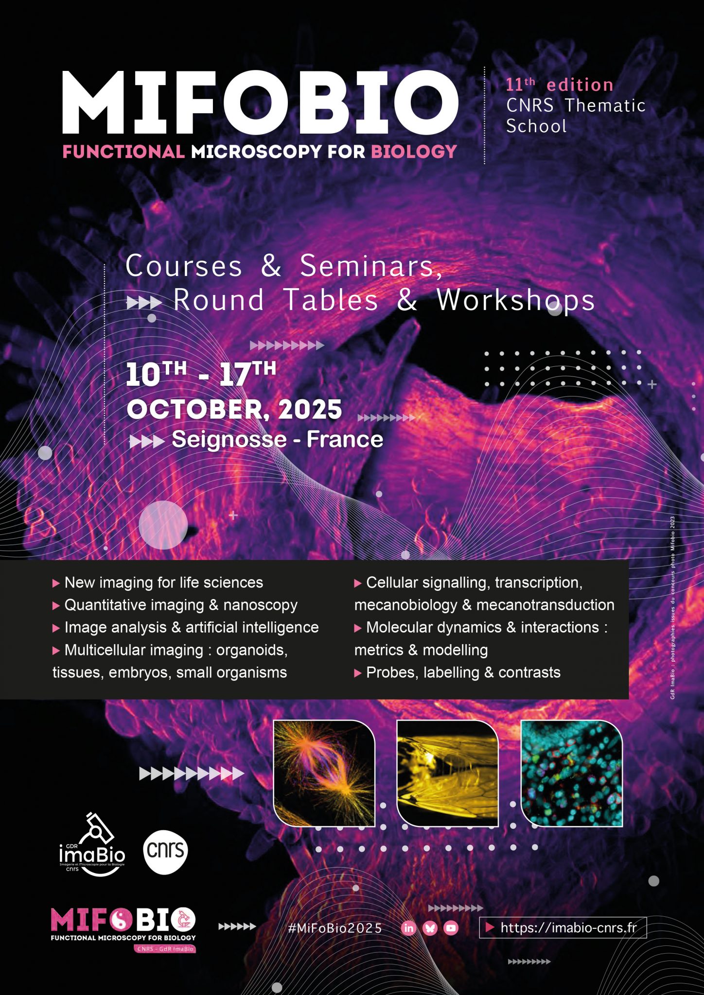Présentation de Mifobio 2025 – GDR Imabio