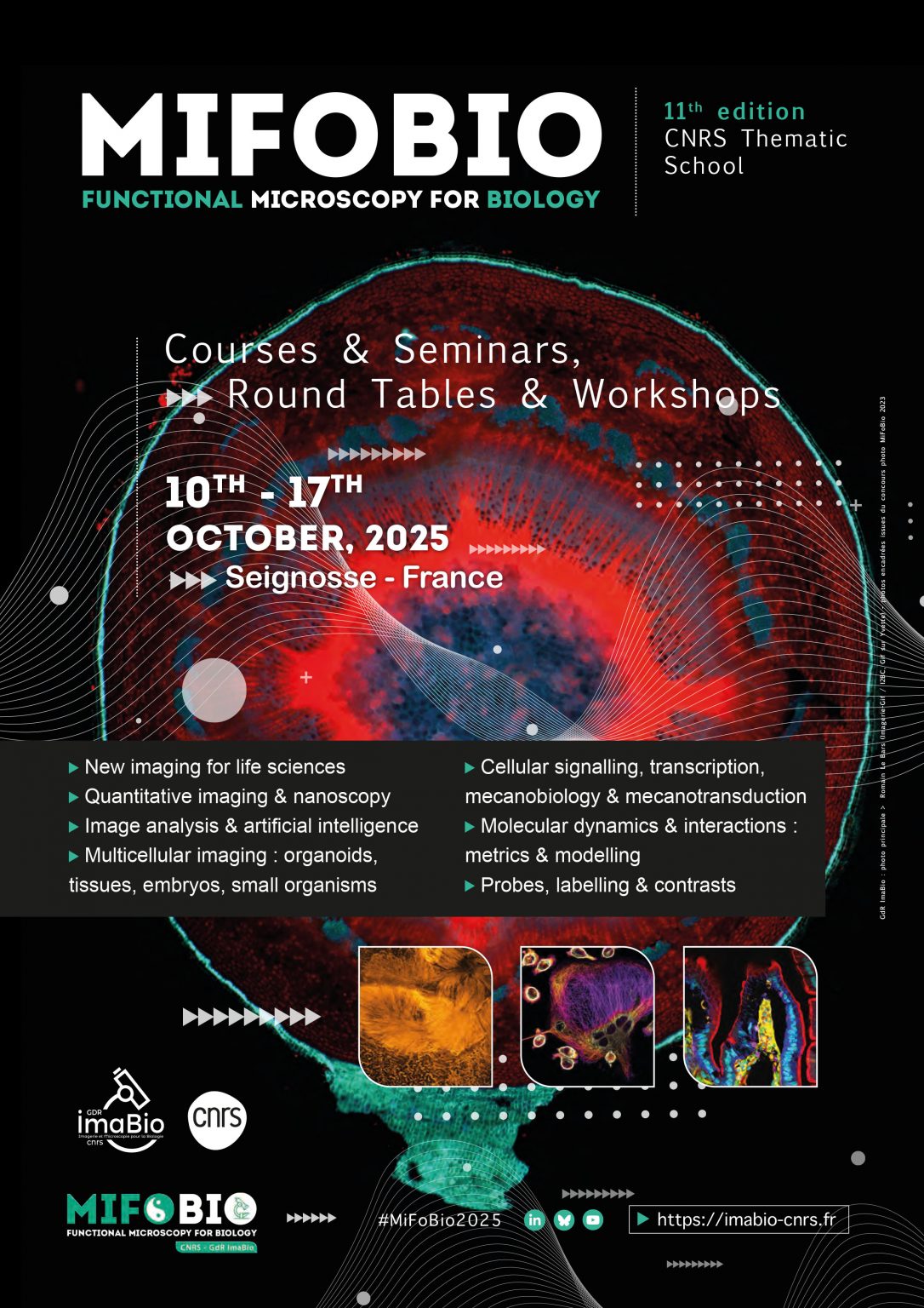 Présentation de Mifobio 2025 – GDR Imabio
